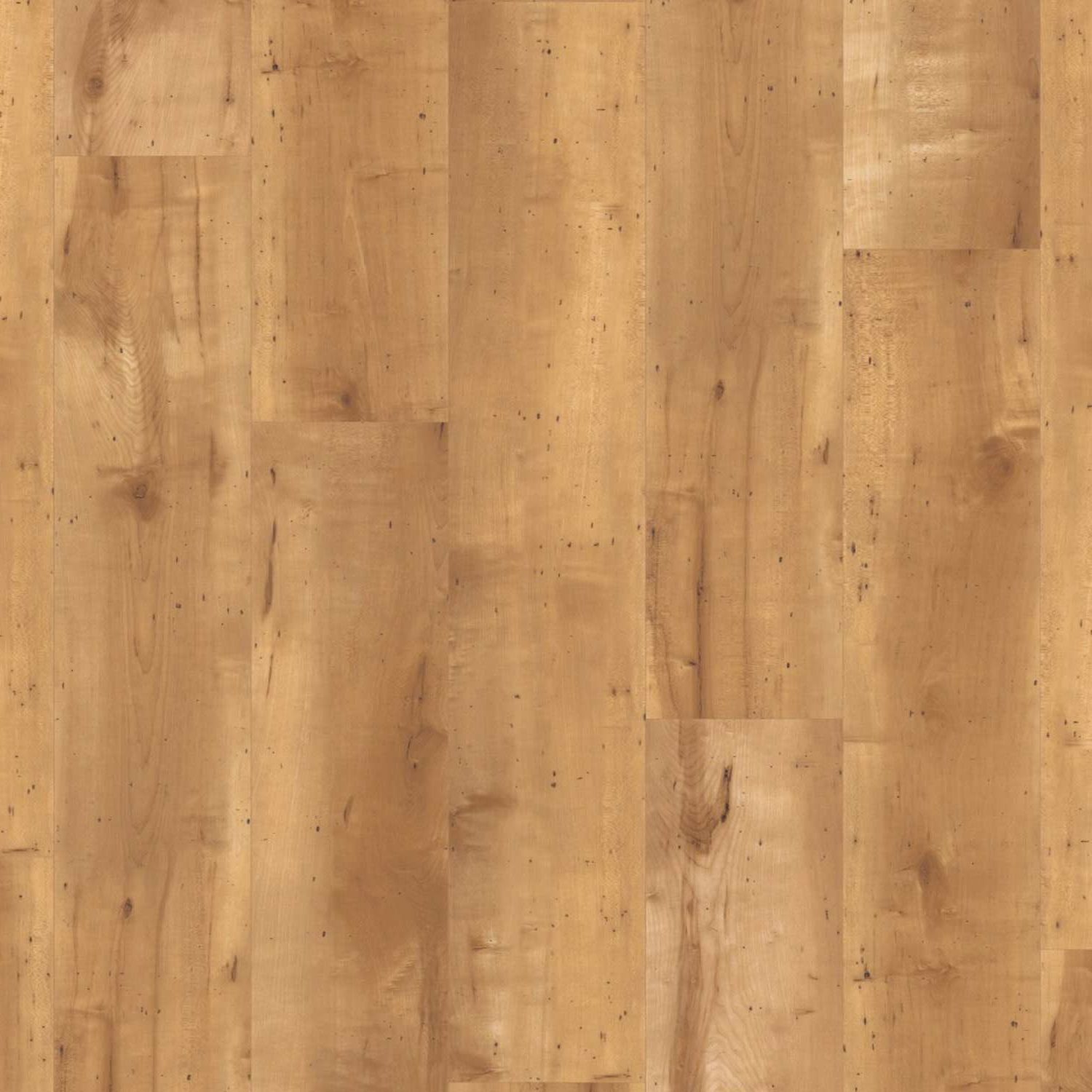 Van Gogh Birch | Flooring Xtra