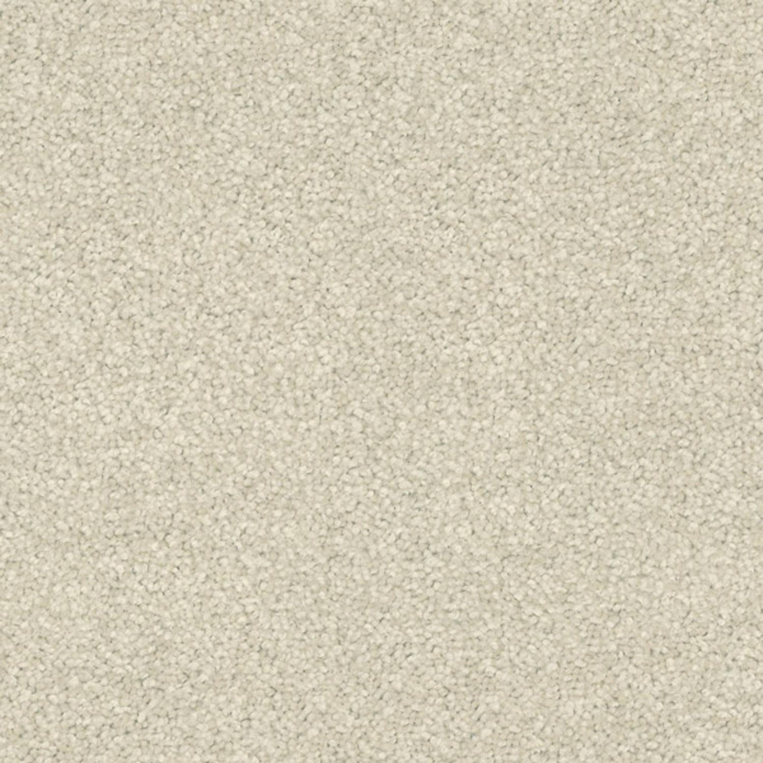 Andros Biscotti | Flooring Xtra
