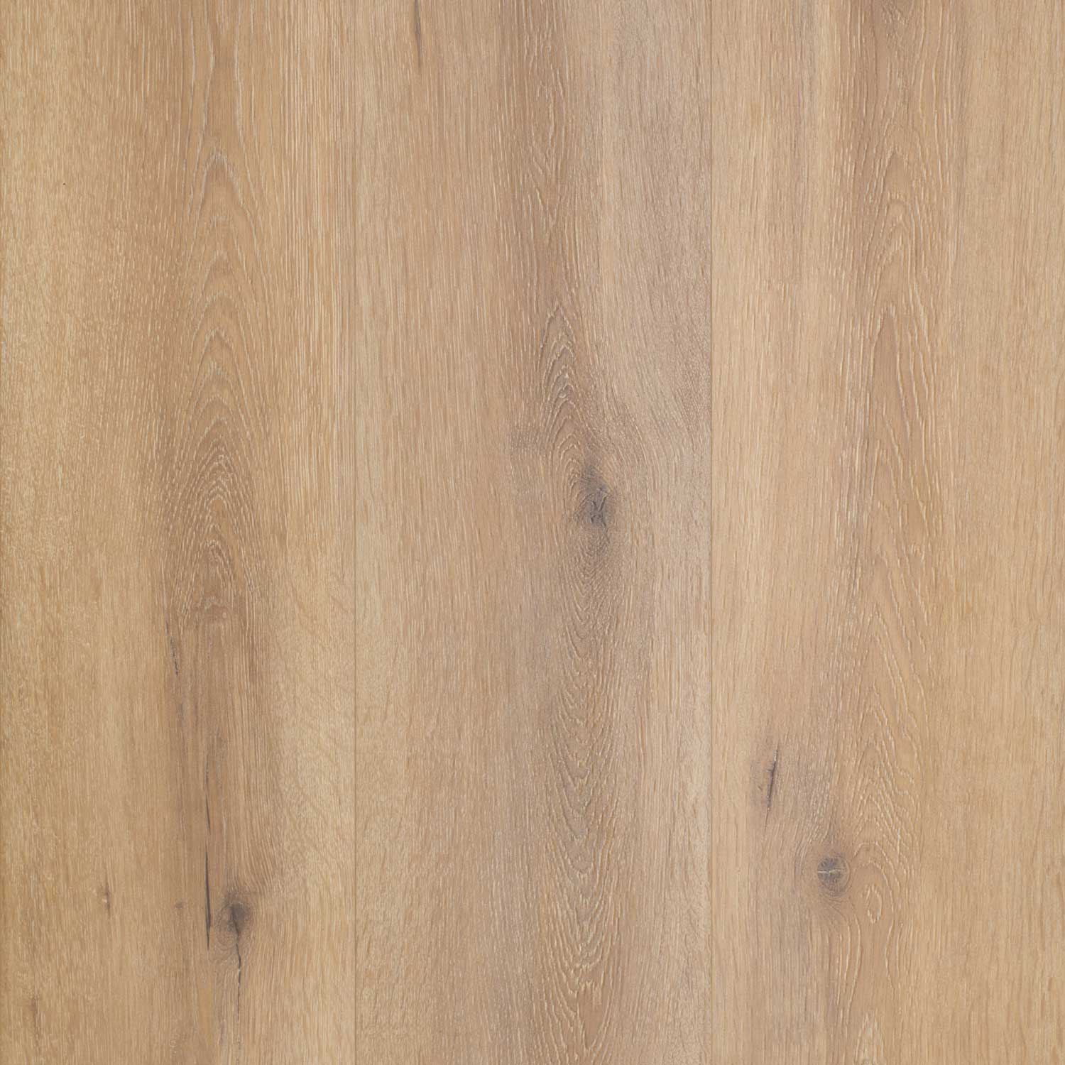 Mooloolaba Sandy Dunes - Flooring Xtra